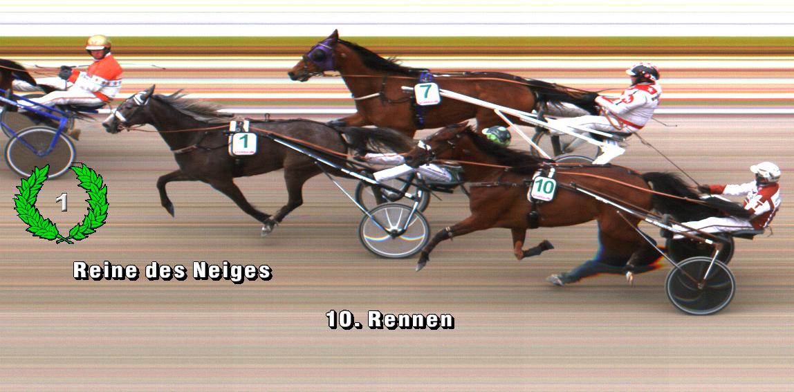 rennbahn berlin - TRAB