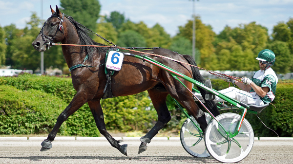 rennbahn berlin - TRAB